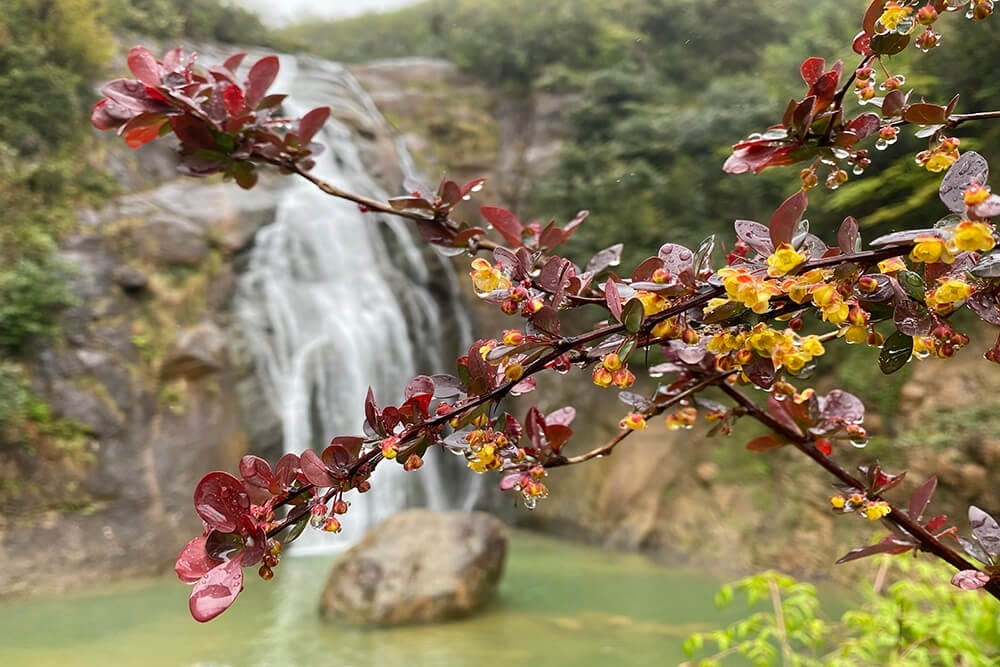 Agaran Waterfall, one of Rize's amazing and hidden gems 2024